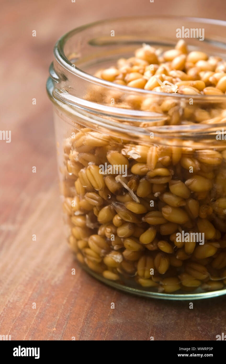 Cereal germ hi-res stock photography and images - Alamy