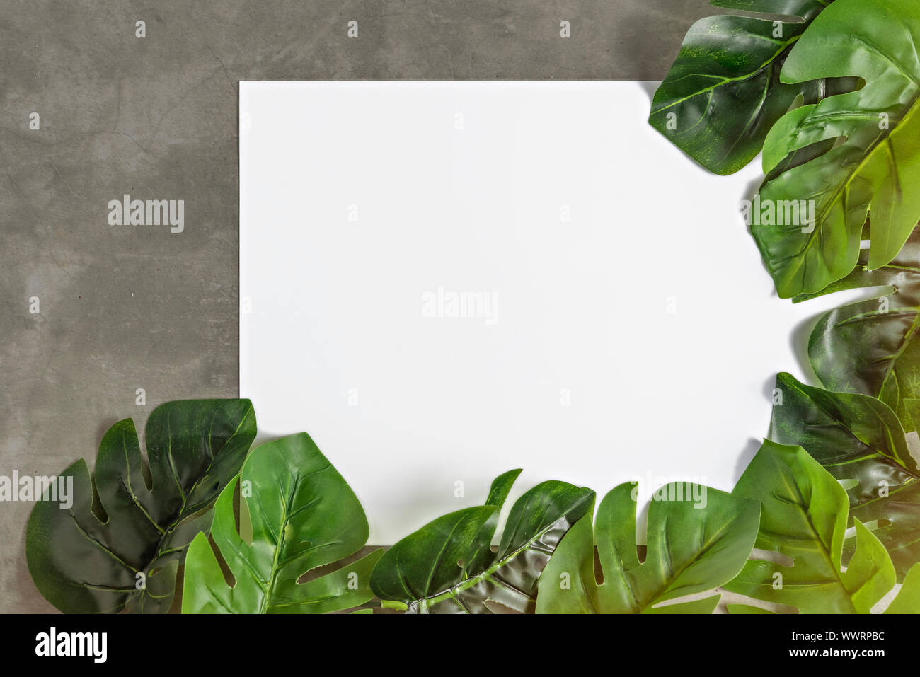 Sheet papaer hi-res stock photography and images - Alamy