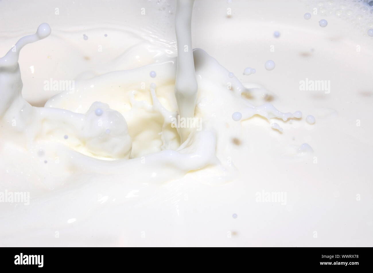 milk splashing into fresh milk with drops Stock Photo - Alamy