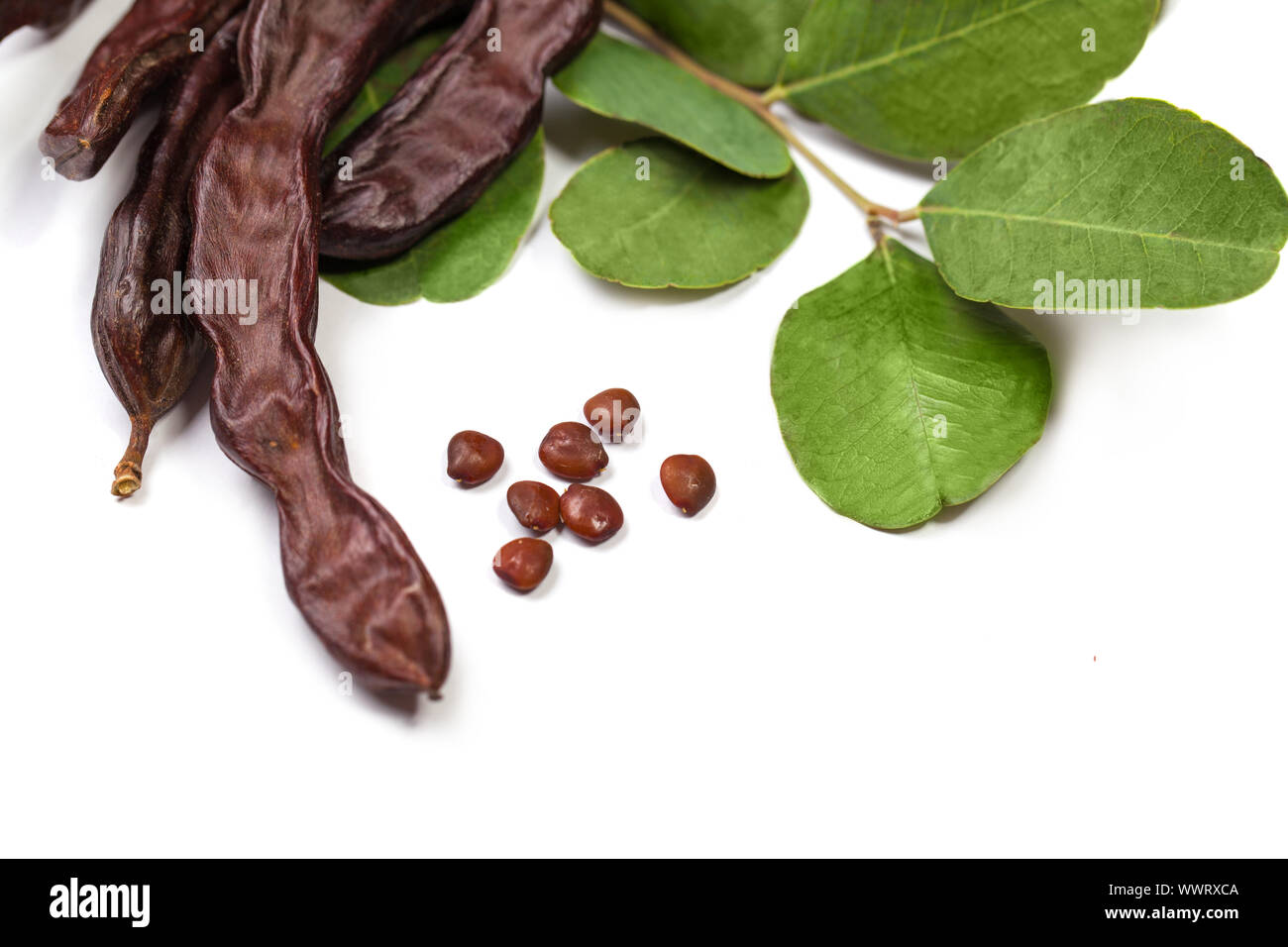 Carob beans. Healthy organic sweet carob pods with seeds and leaves on ...