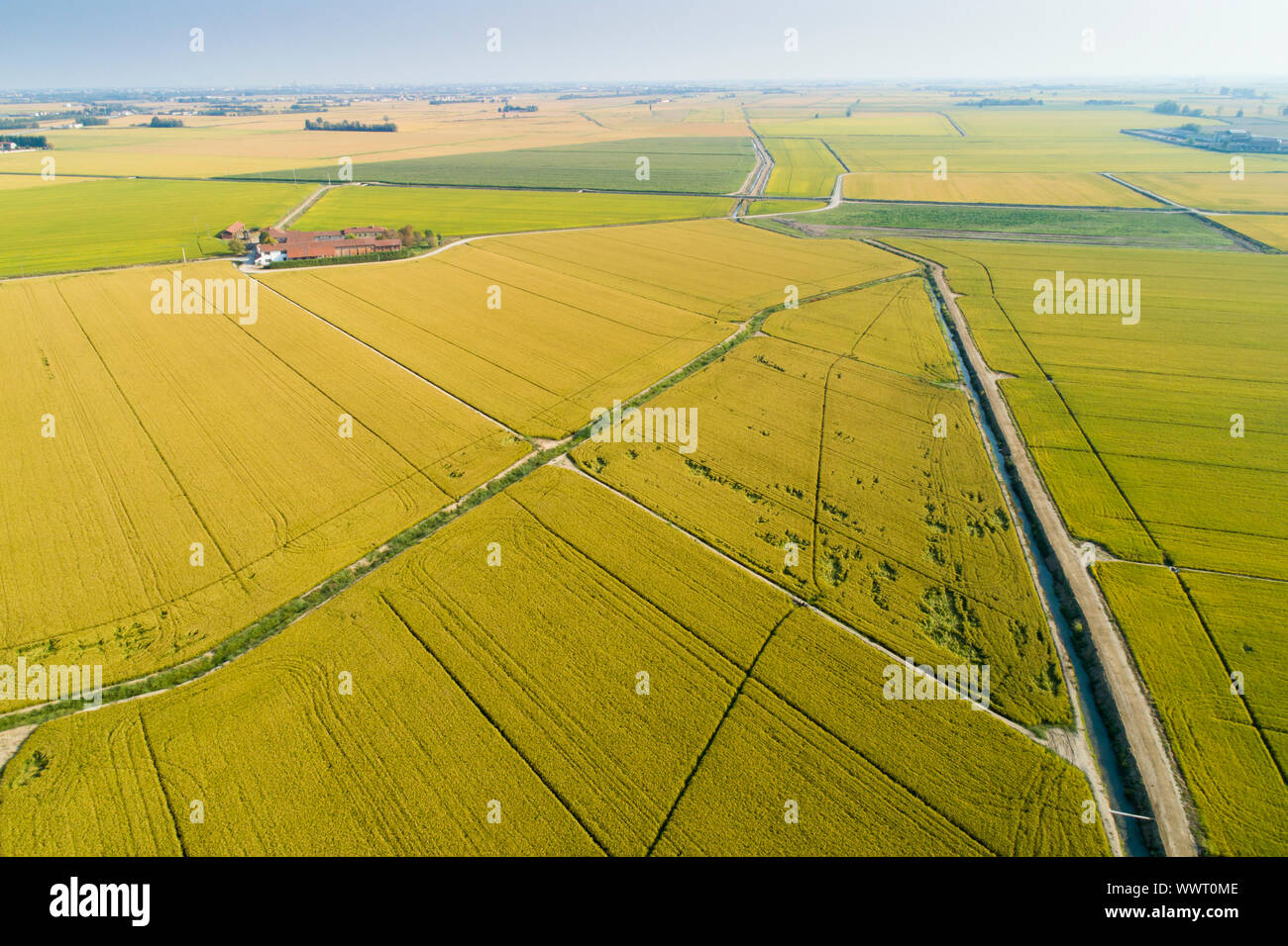 Aerial view of rice fields and farm in Italy, panorama of Po Valley ...