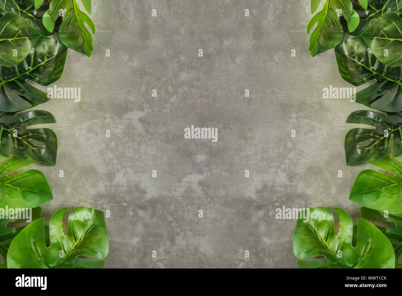 Top view and flat lay of green leaves over cement background Stock ...