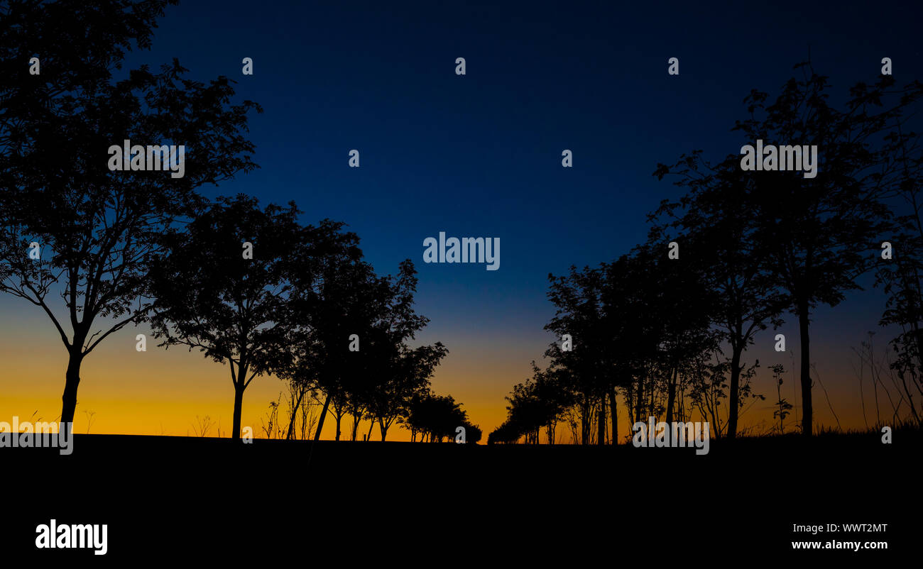 Gradient night sky hi-res stock photography and images - Alamy