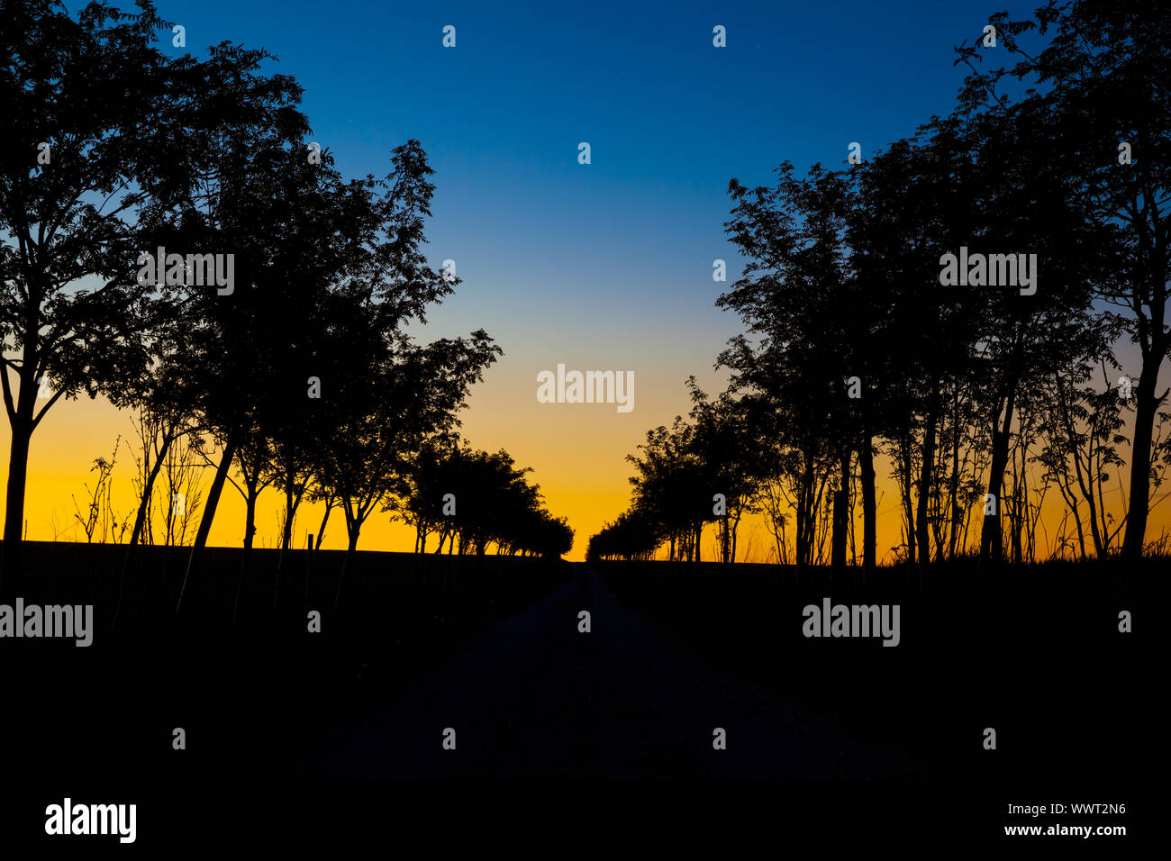 Field path with night sky Stock Photo - Alamy