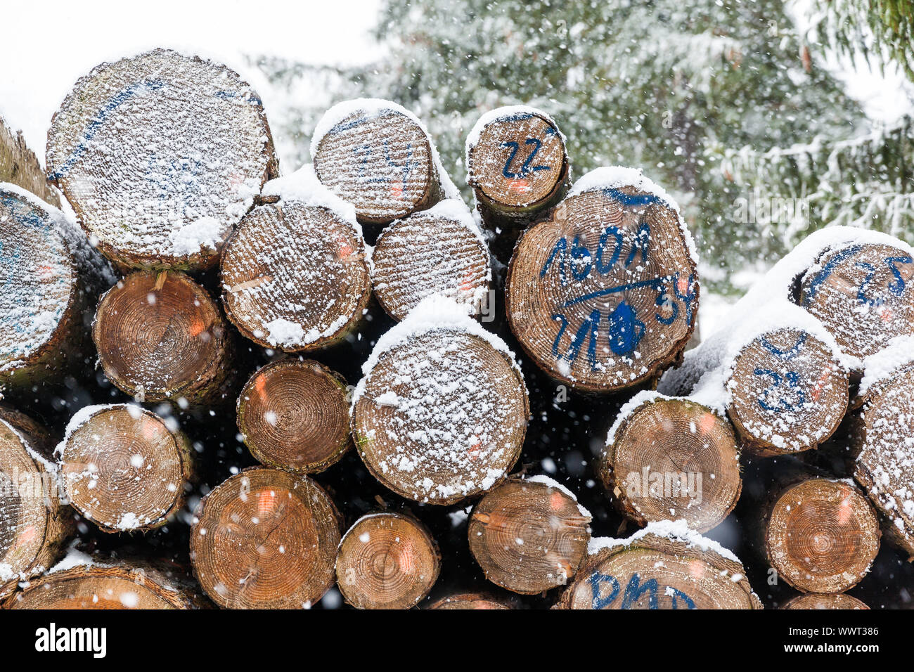 snowy wood bolster Stock Photo - Alamy