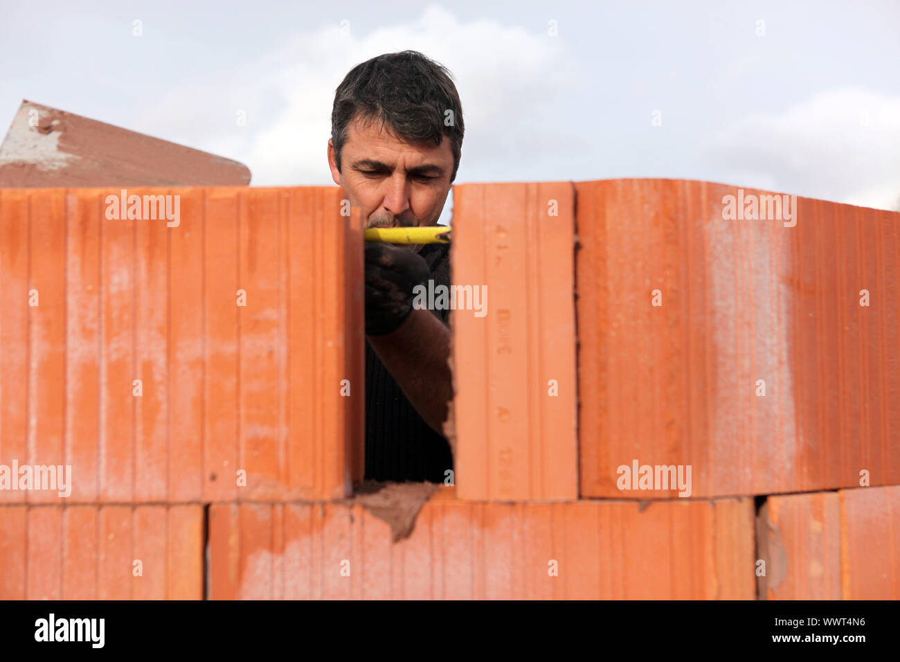 An assiduous bricklayer Stock Photo - Alamy