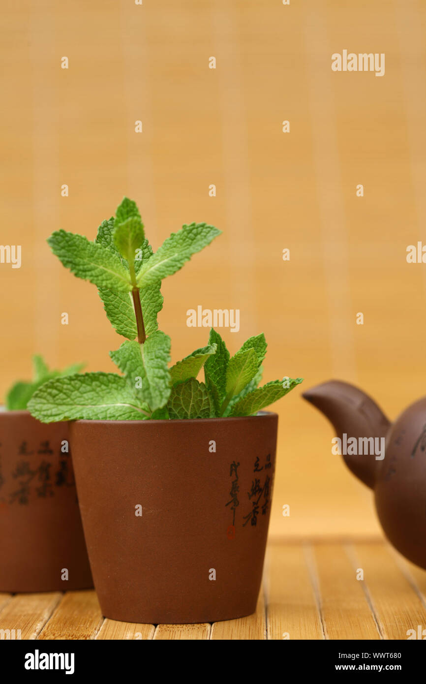 mint tea on china background Stock Photo - Alamy