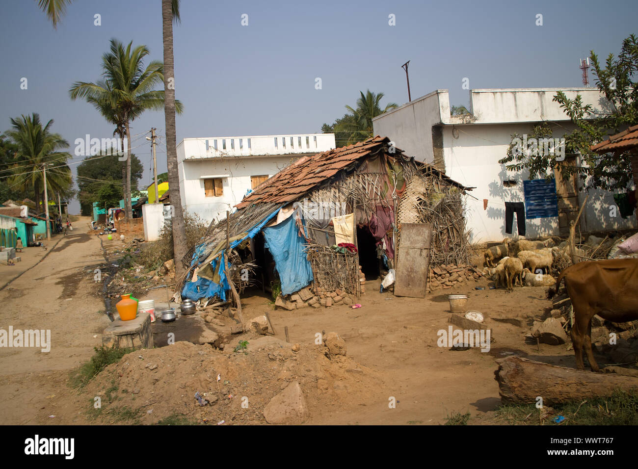 Andhra pradesh farm hi-res stock photography and images - Alamy
