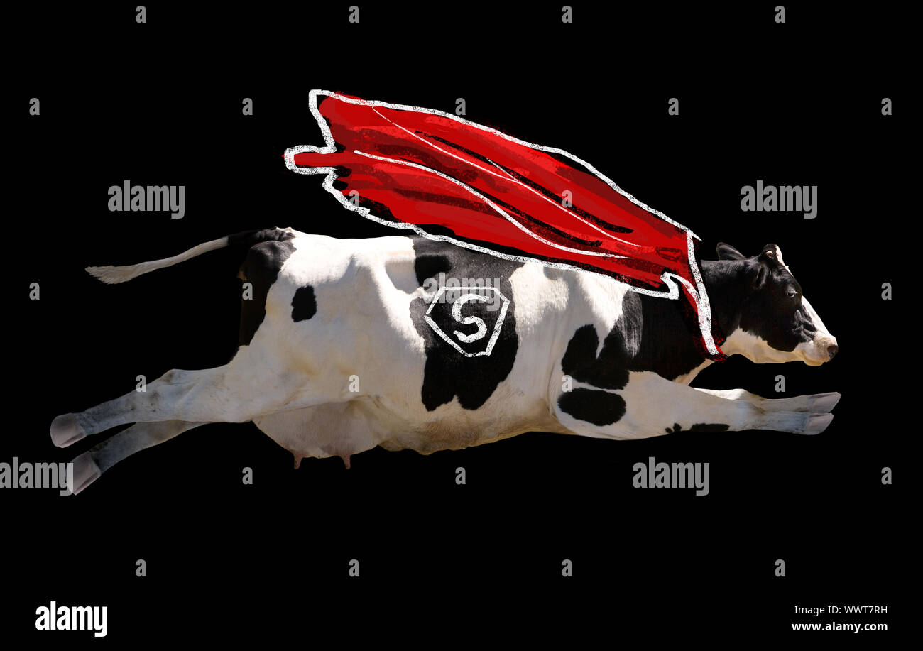 Flying cow isolated hi-res stock photography and images - Alamy