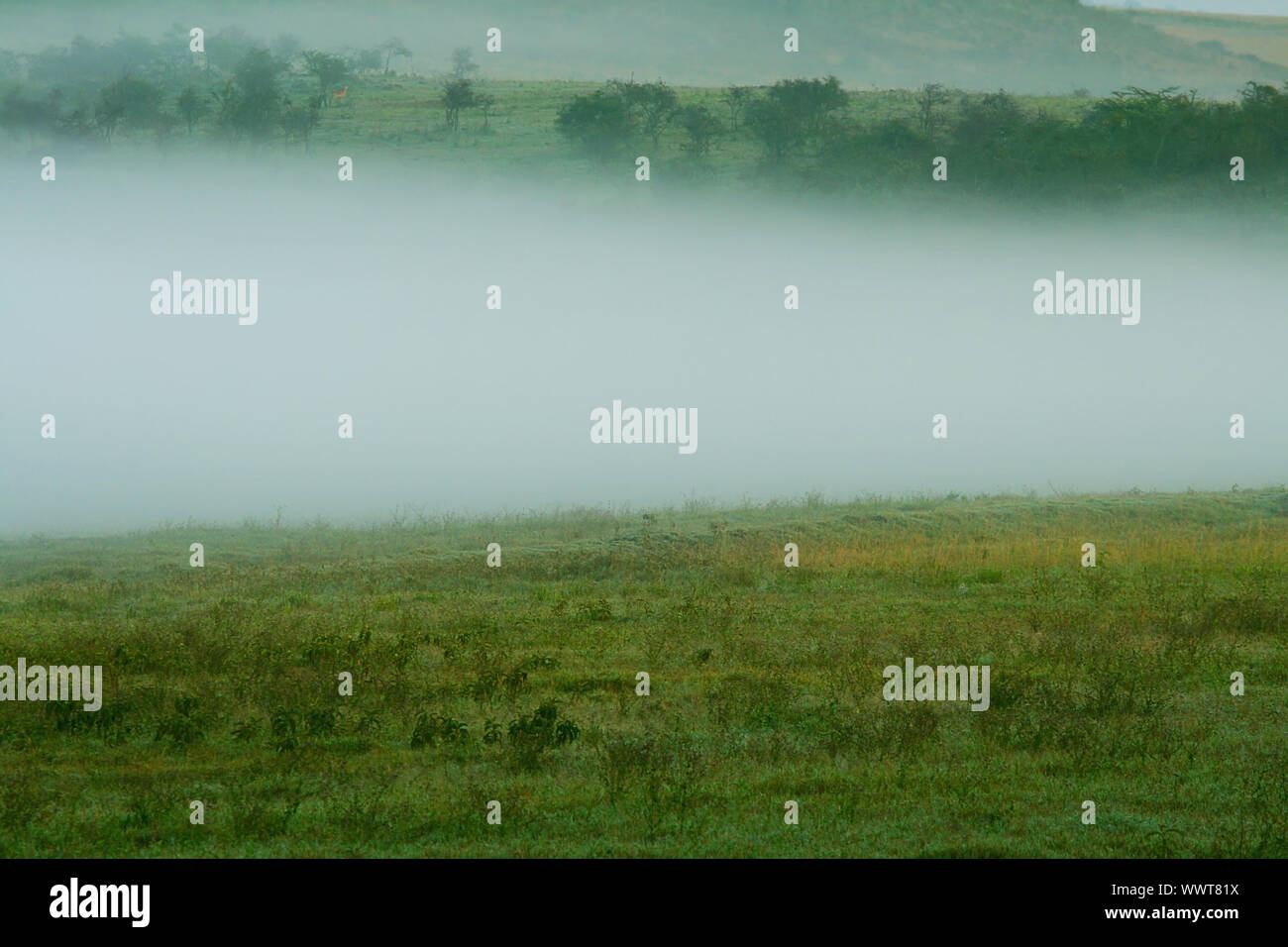 Overcast landscape hi-res stock photography and images - Alamy