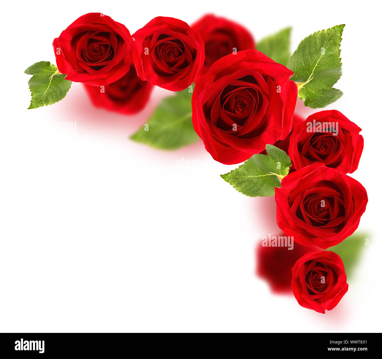 Border Cut Out Stock Images & Pictures - Alamy