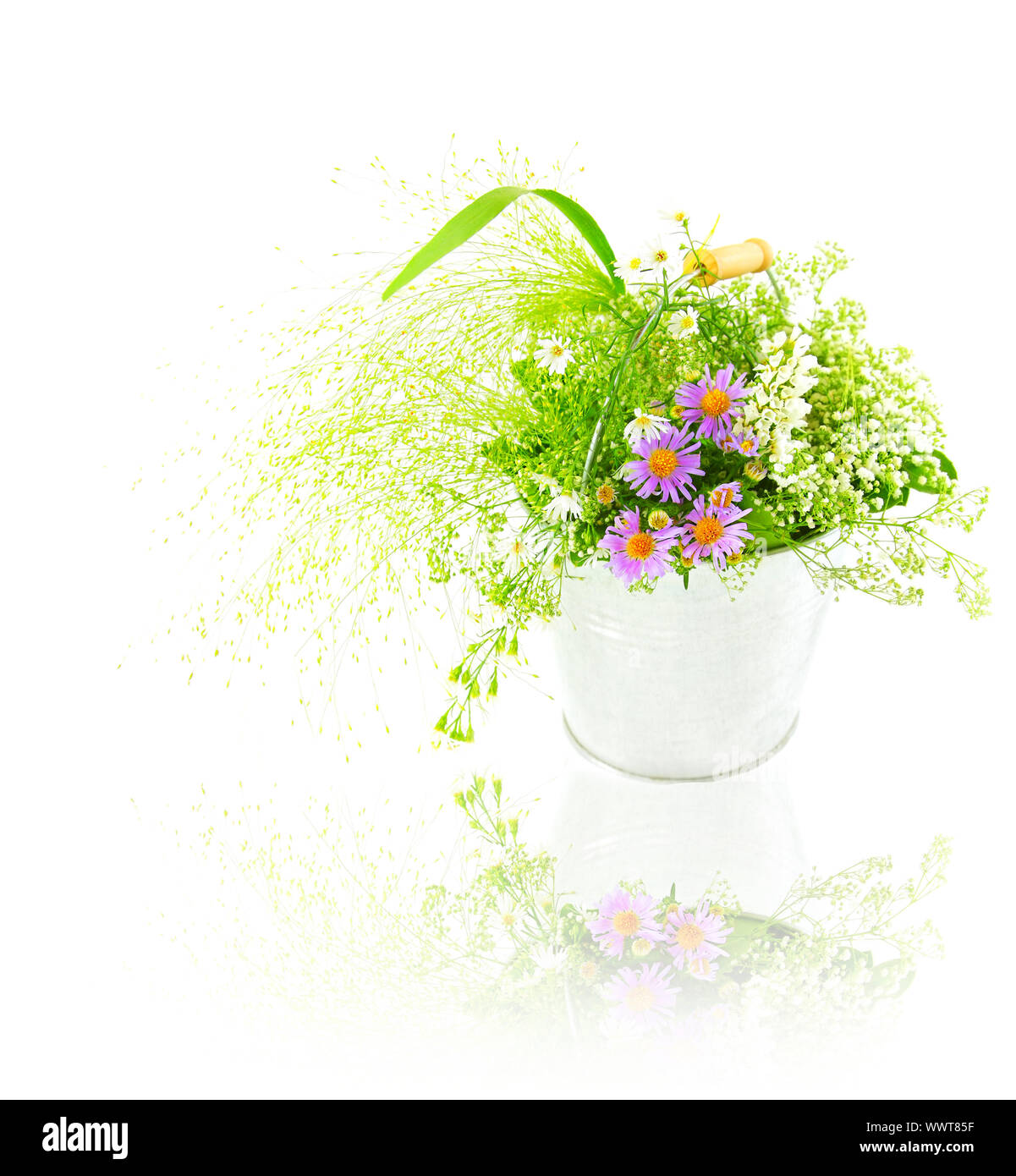 Bouquet colorful leaves wild Cut Out Stock Images & Pictures - Alamy