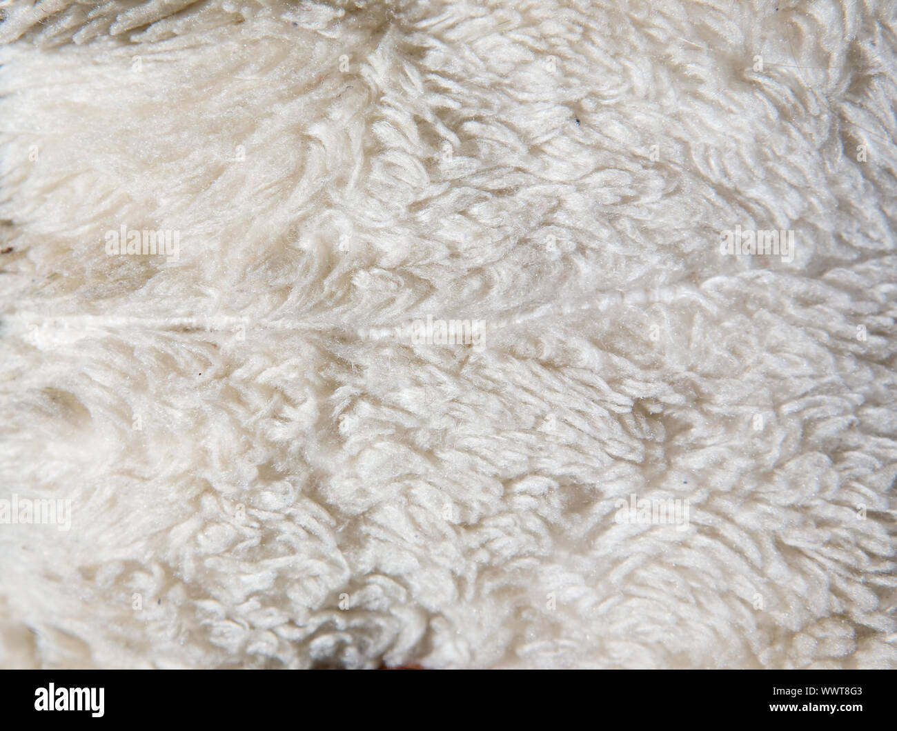 Matted background hi-res stock photography and images - Alamy