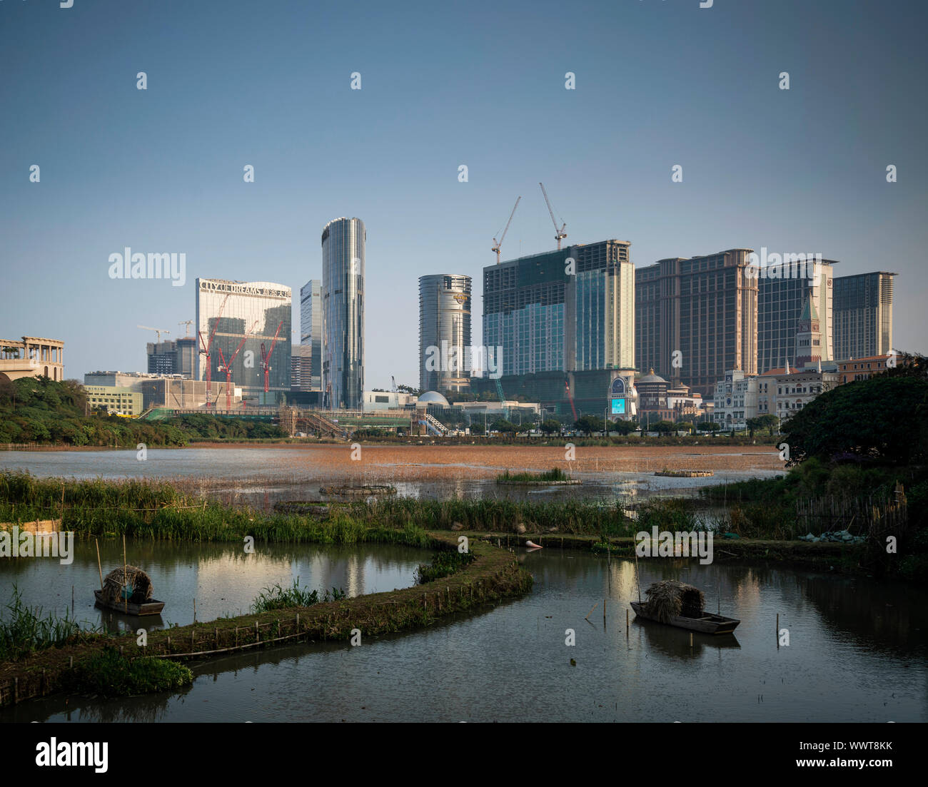 Cotai Area High Resolution Stock Photography and Images - Alamy