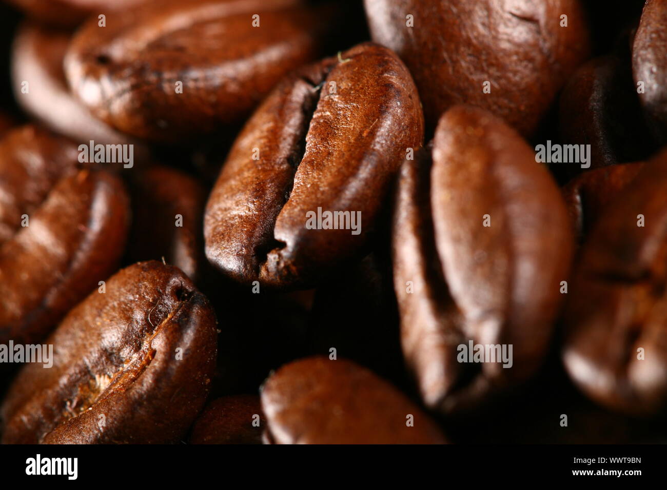 coffee beans detailed macro close up Stock Photo - Alamy