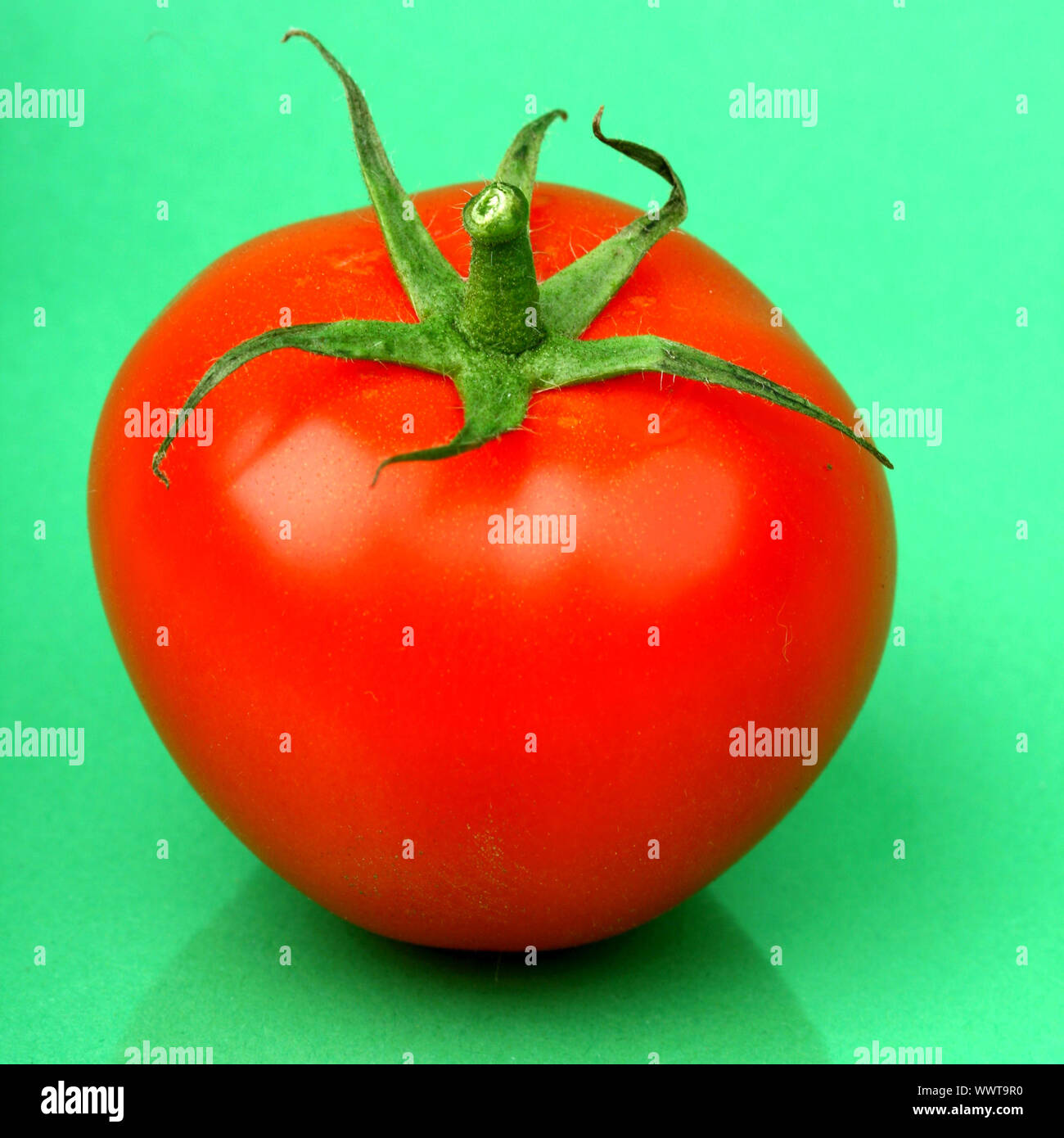 one tomato on green background Stock Photo - Alamy