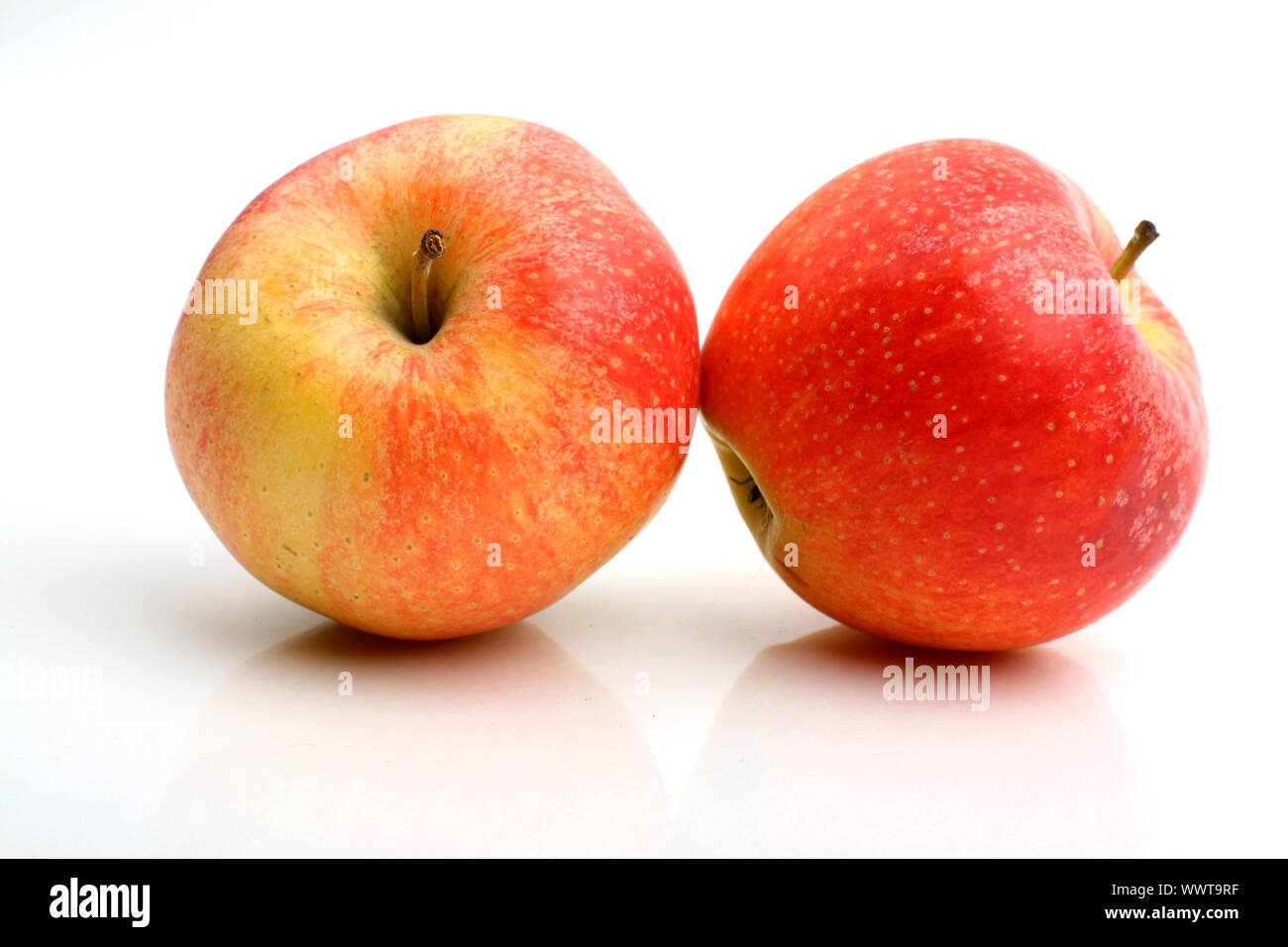 two apples isolated on white background Stock Photo - Alamy