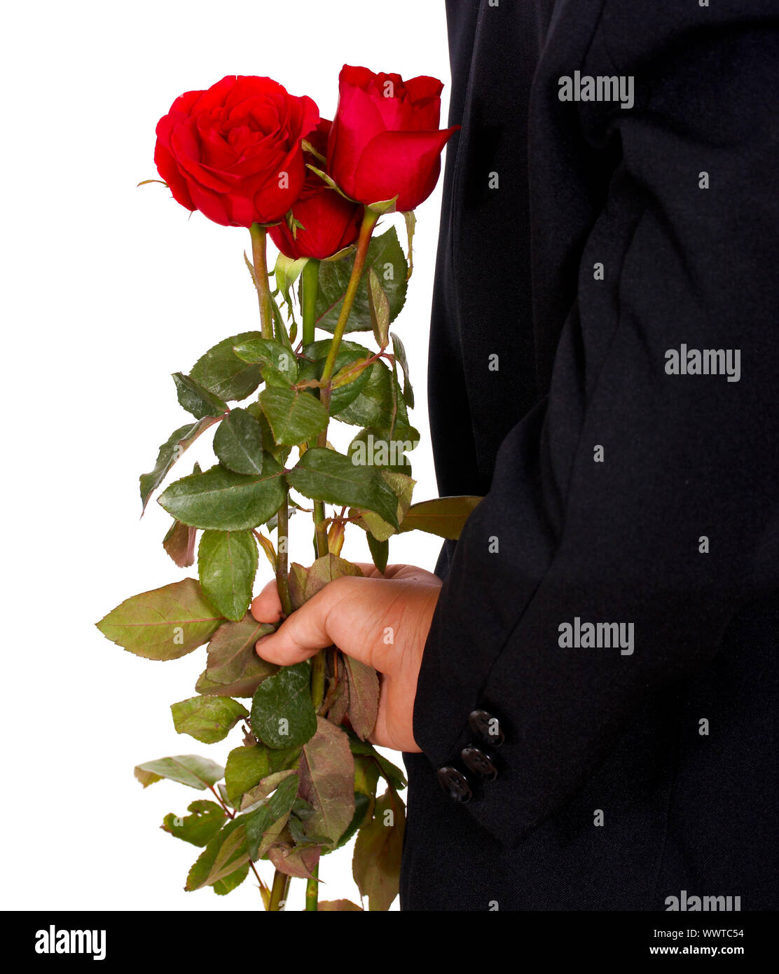 Giving Roses To His Wife As A Valentines Gift Stock Photo - Alamy