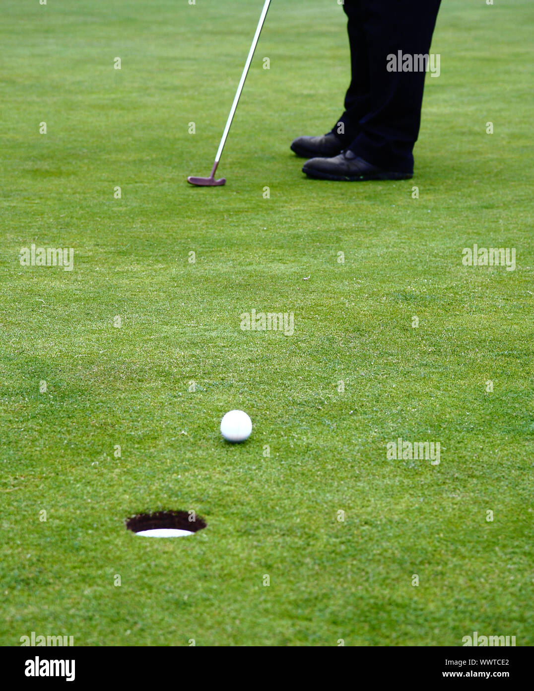 Putting A Golf Ball Into A Hole On The Putting Green Stock Photo - Alamy