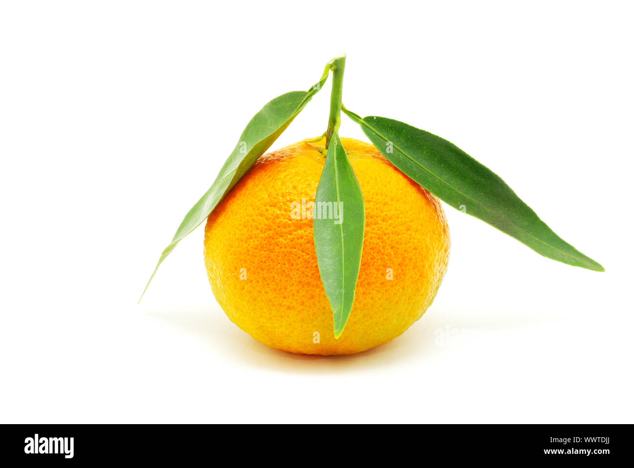 fresh mandarin isolated on white Stock Photo - Alamy