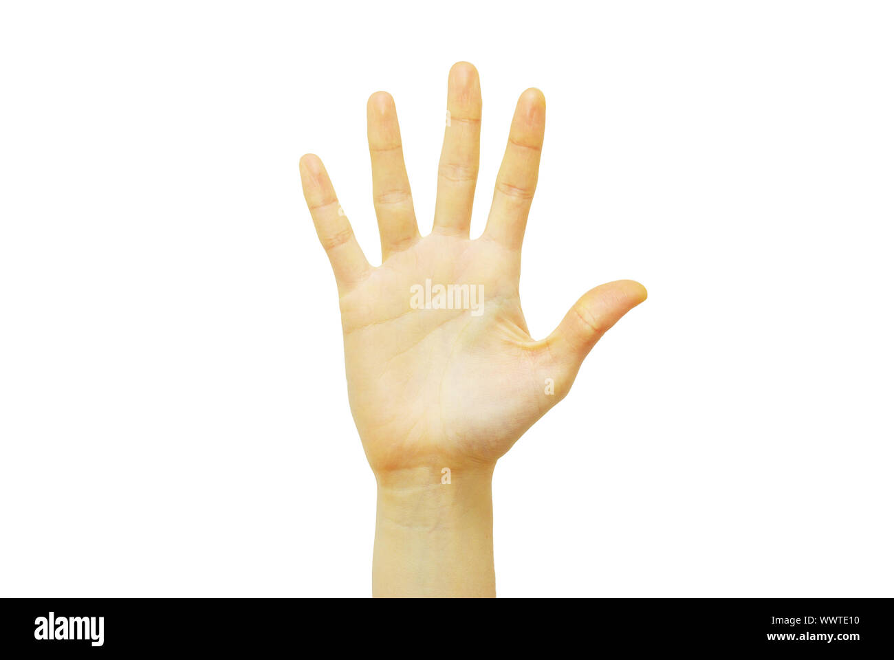 Womans hand with thumb up ok signal Stock Photo - Alamy