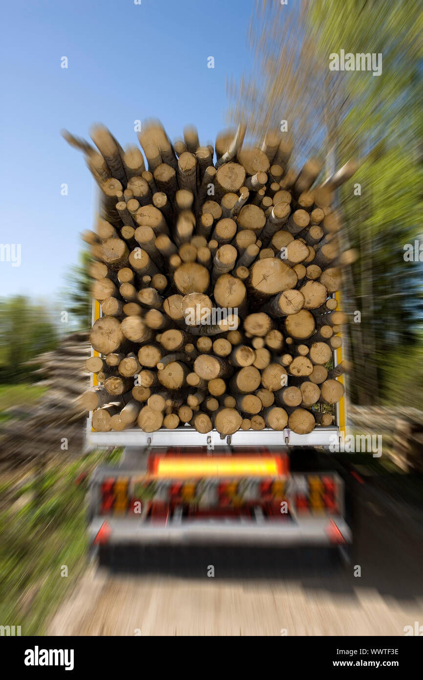 Loaded Timber on a truck Stock Photo - Alamy