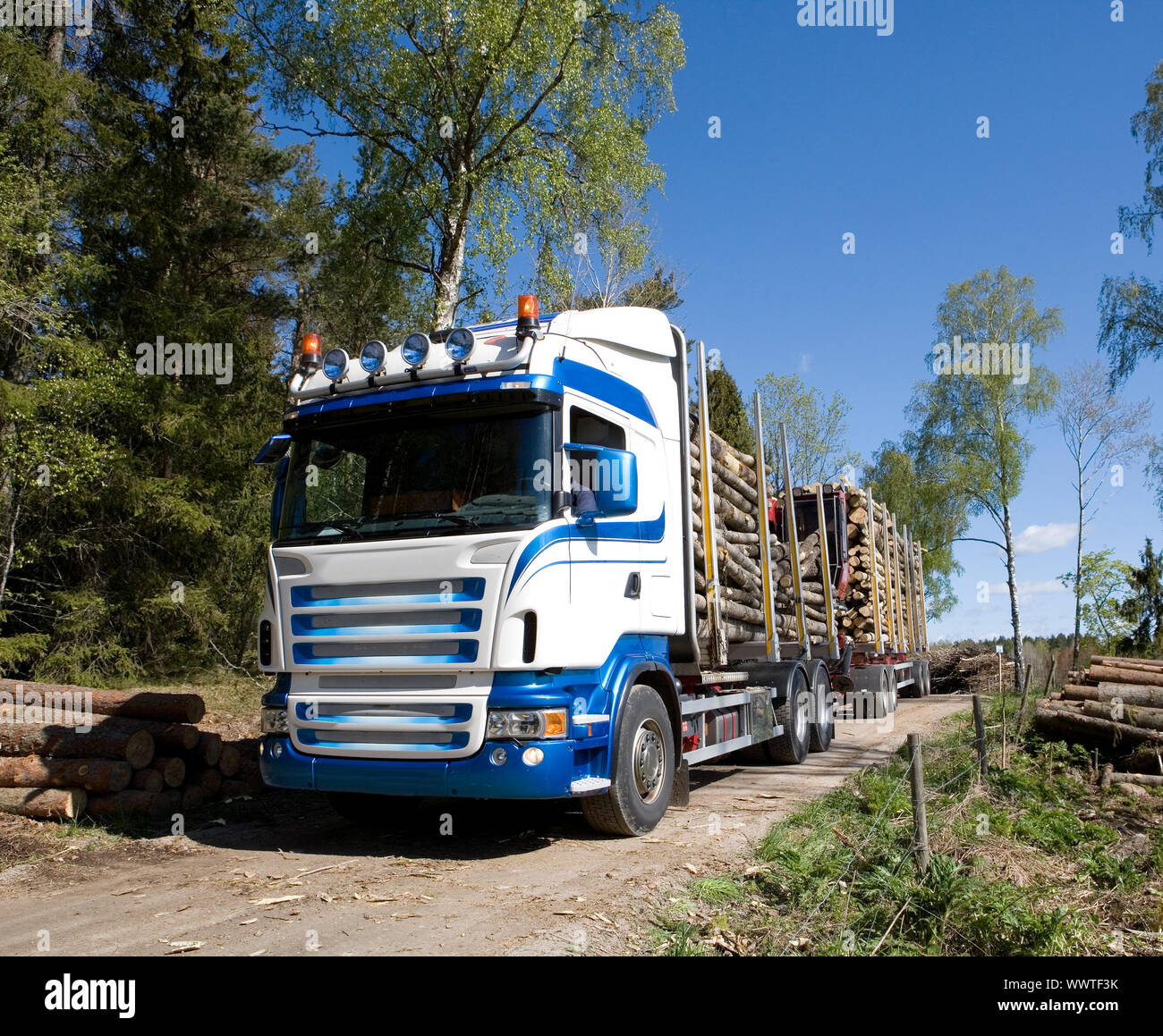 Truck with timber in the forest Stock Photo - Alamy