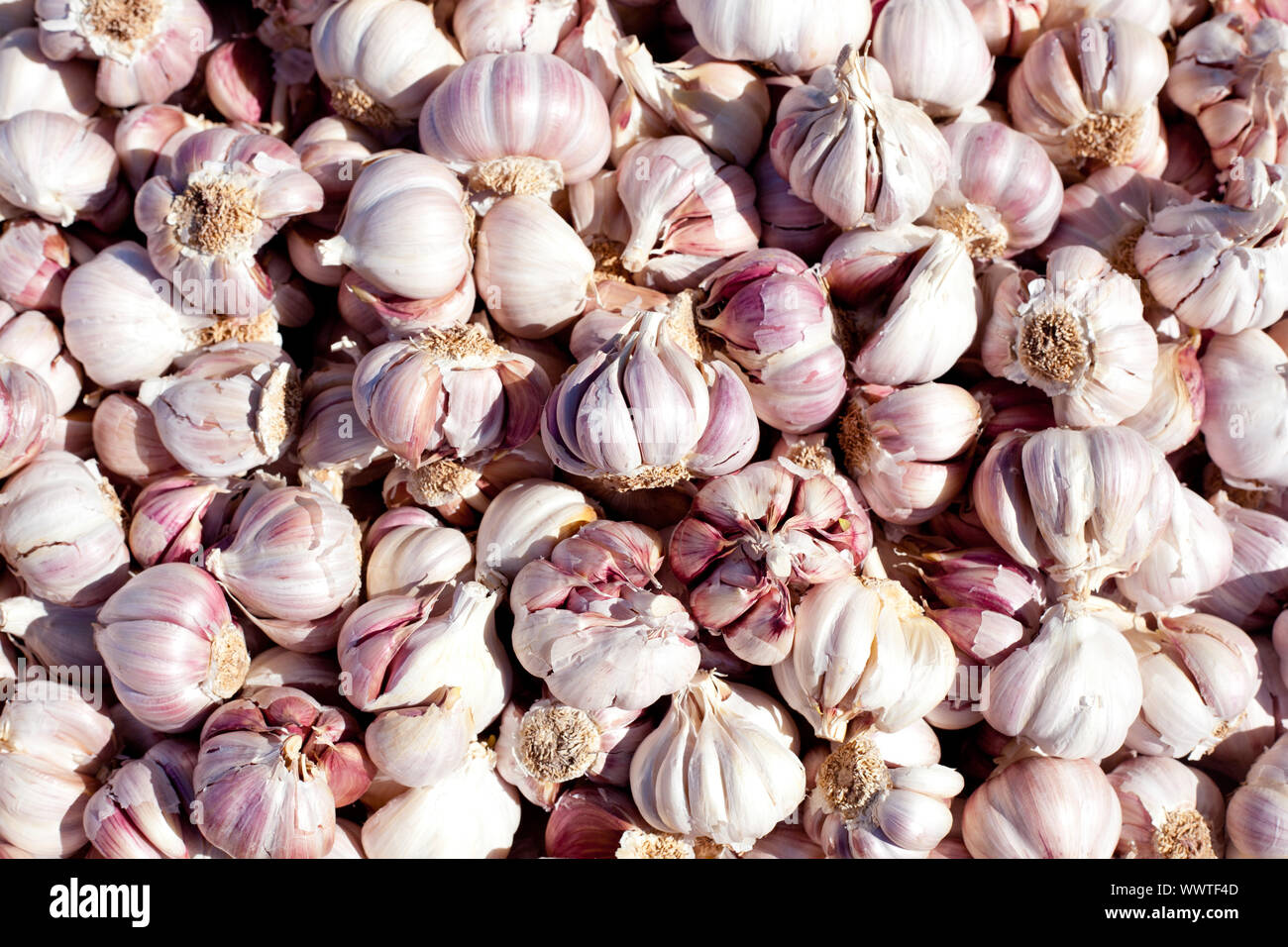 garlic pattern texture in food market in Mediterranean Stock Photo - Alamy