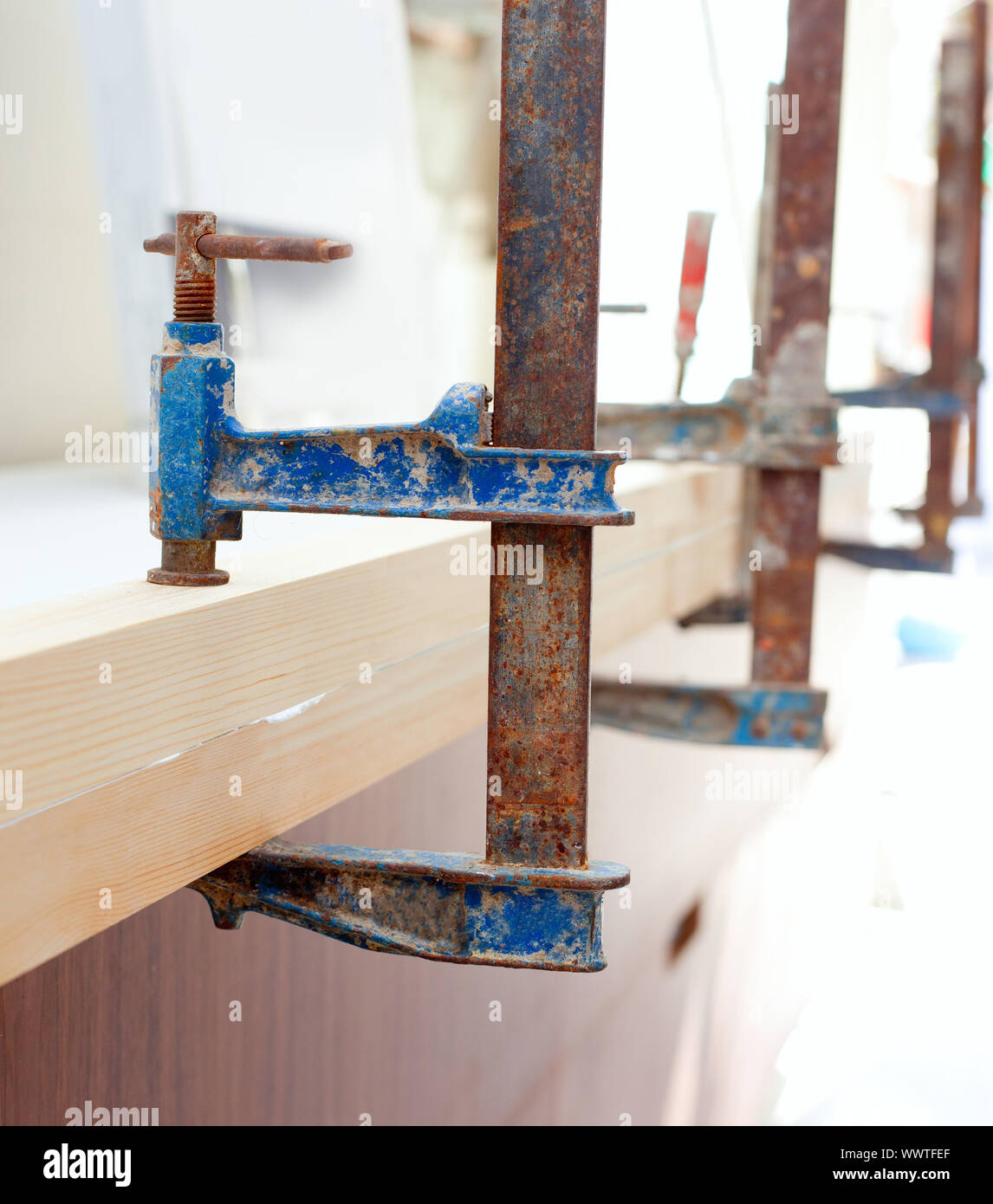 Carpenter screw clamp tools pressing wood slats ang white glue Stock ...