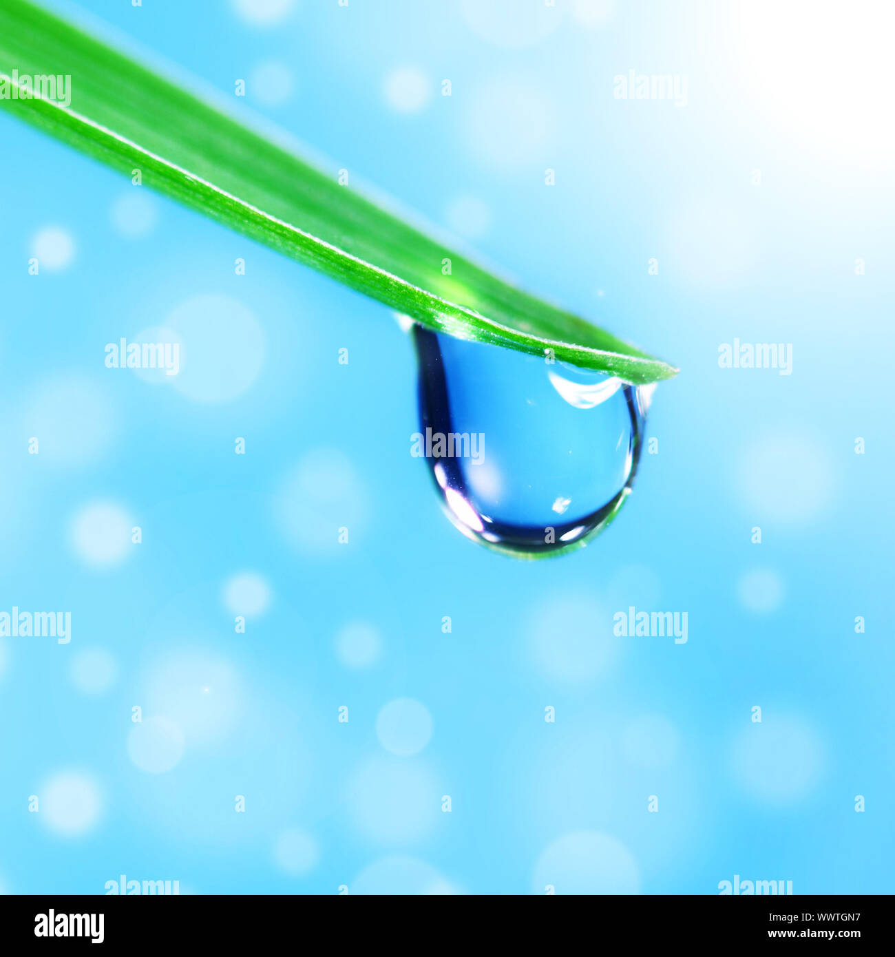 water drop shine in sun light Stock Photo - Alamy