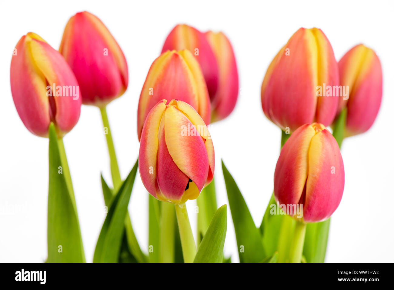 Bouquet detail hi-res stock photography and images - Alamy