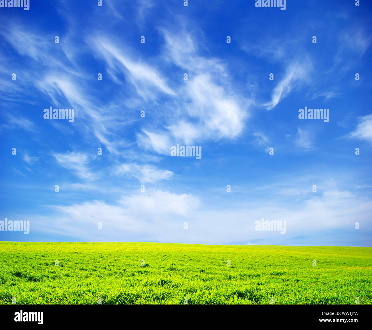 field on a background of the blue sky Stock Photo - Alamy