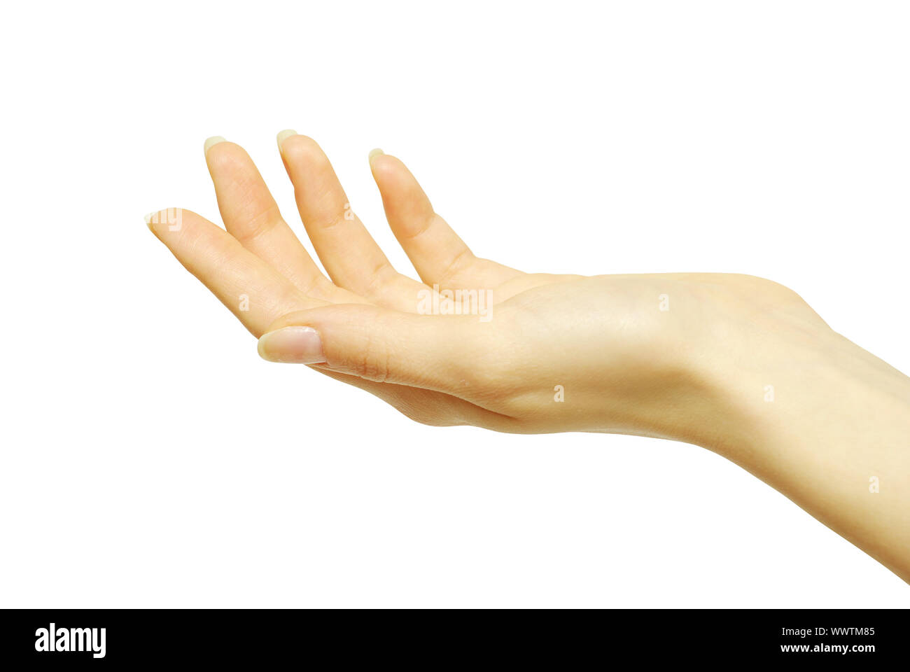 Empty hand isolated on white Stock Photo - Alamy