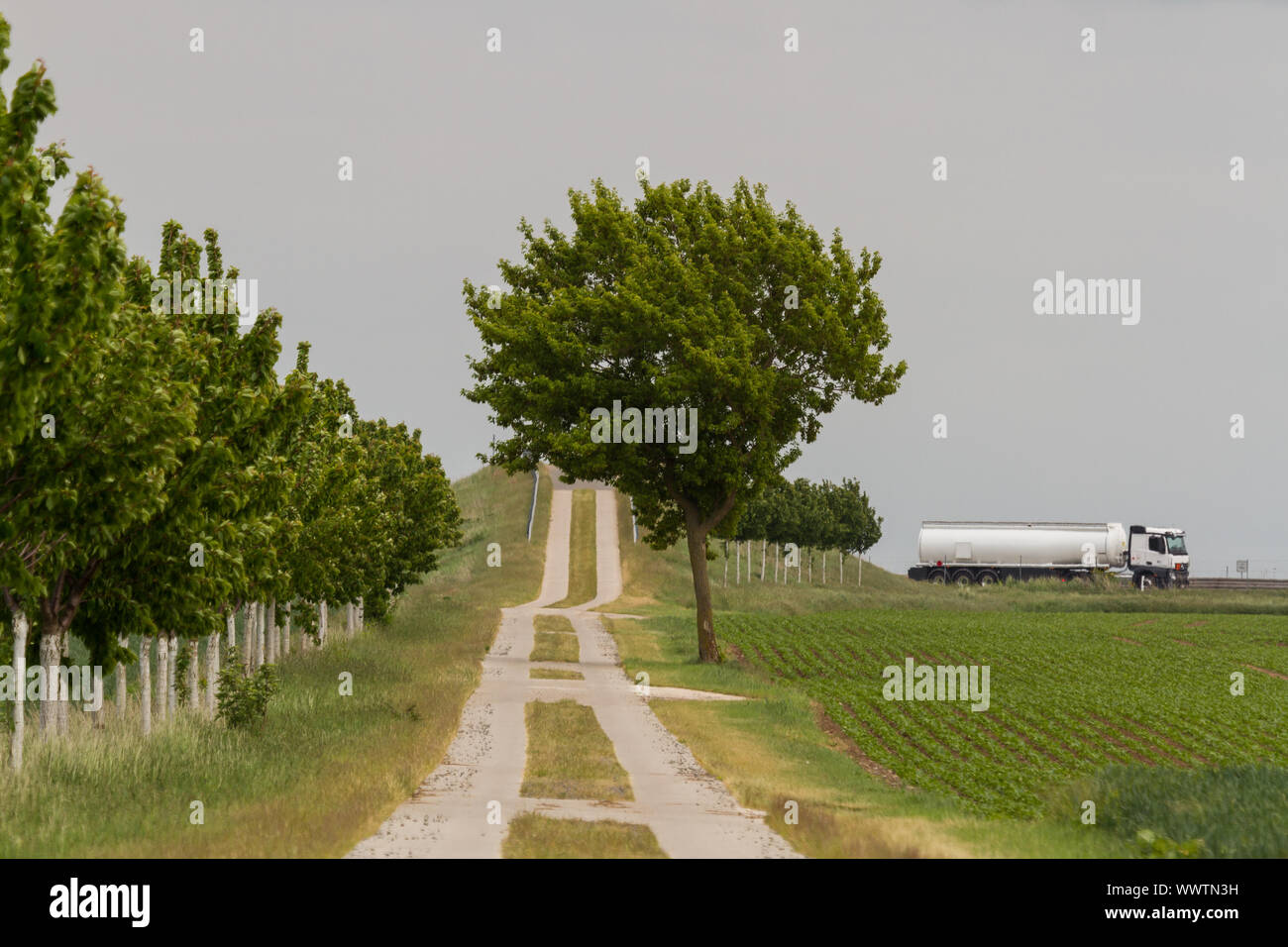 Field path over the motorway Stock Photo - Alamy