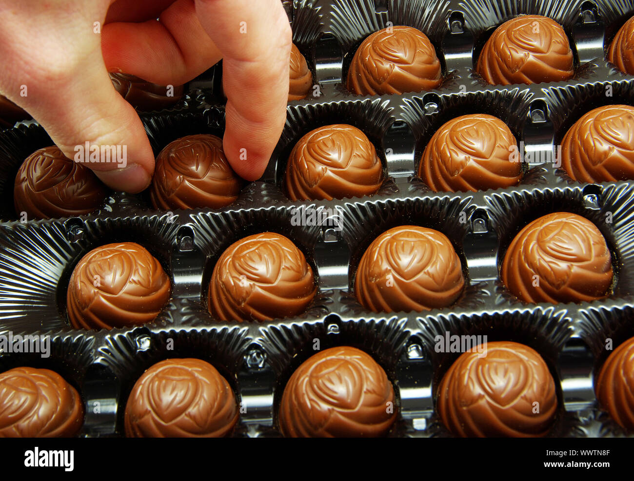 delicious chocolate truffles in box Stock Photo - Alamy