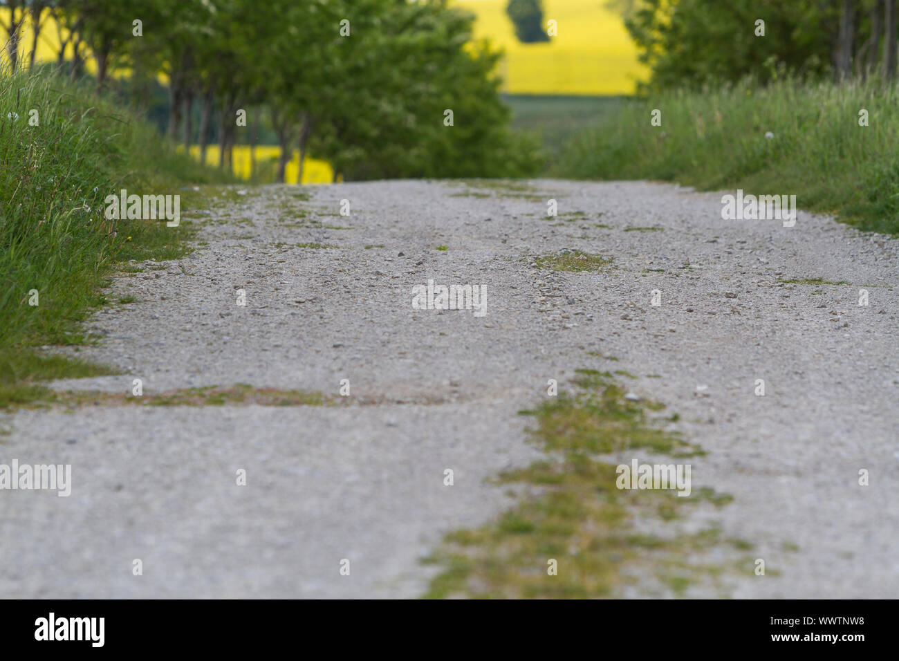 Dirt way hi-res stock photography and images - Alamy