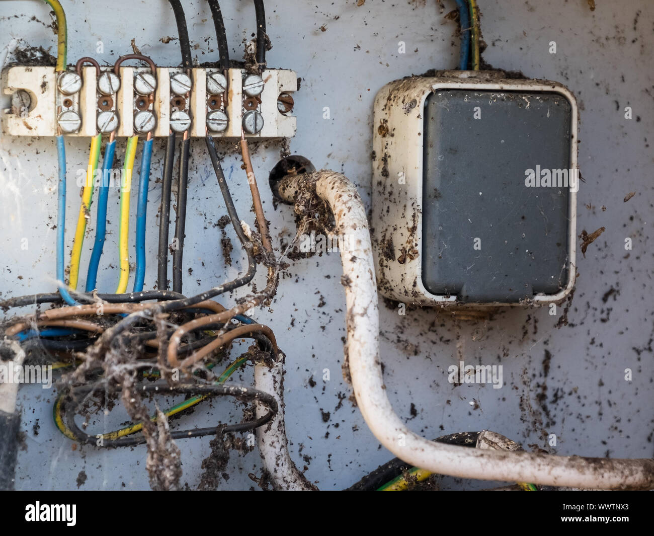 Elektrische gefahr hi-res stock photography and images - Alamy