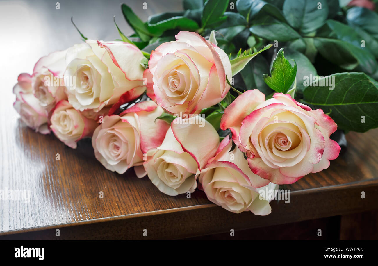 Botany roses hi-res stock photography and images - Alamy
