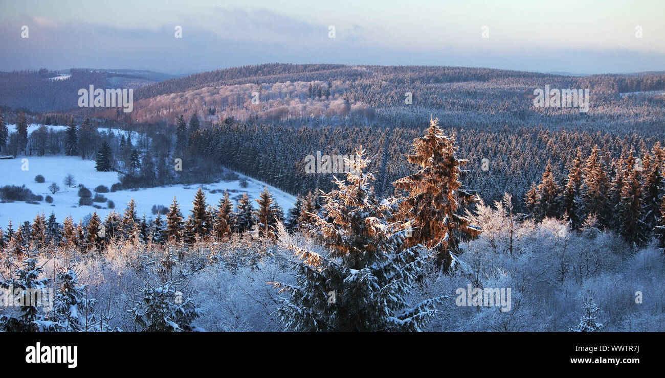 Rothaar Mountains in winter, Hilchenbach, Siegerland, North Rhine ...