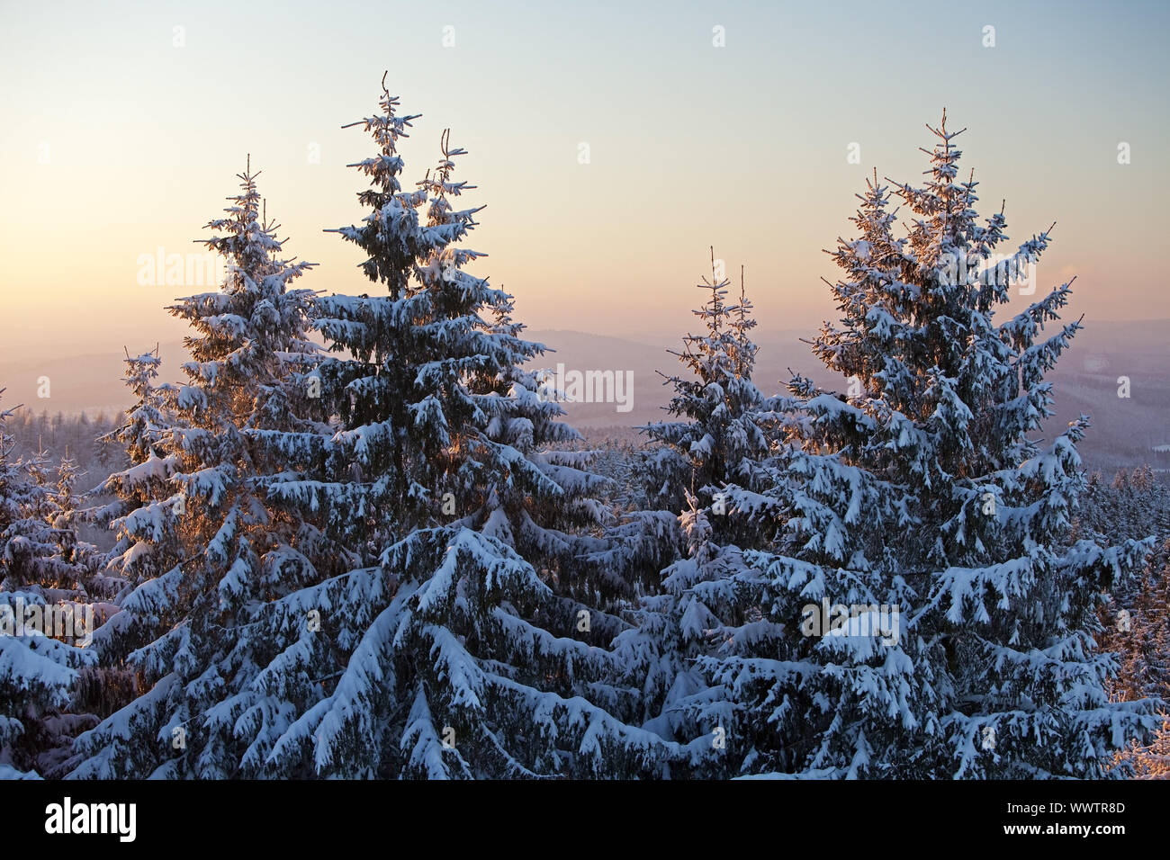 Rothaar Mountains in winter, Hilchenbach, Siegerland, North Rhine ...