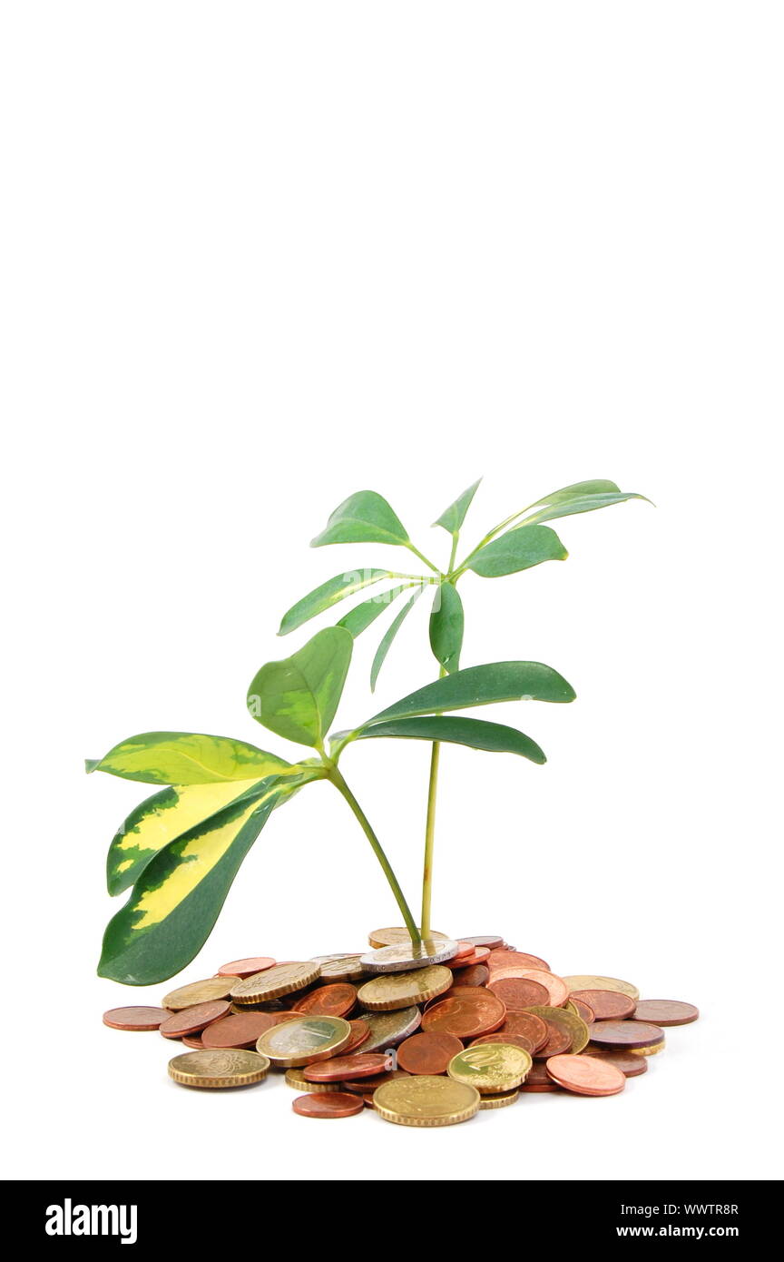 Travel to shelter island Cut Out Stock Images & Pictures - Alamy