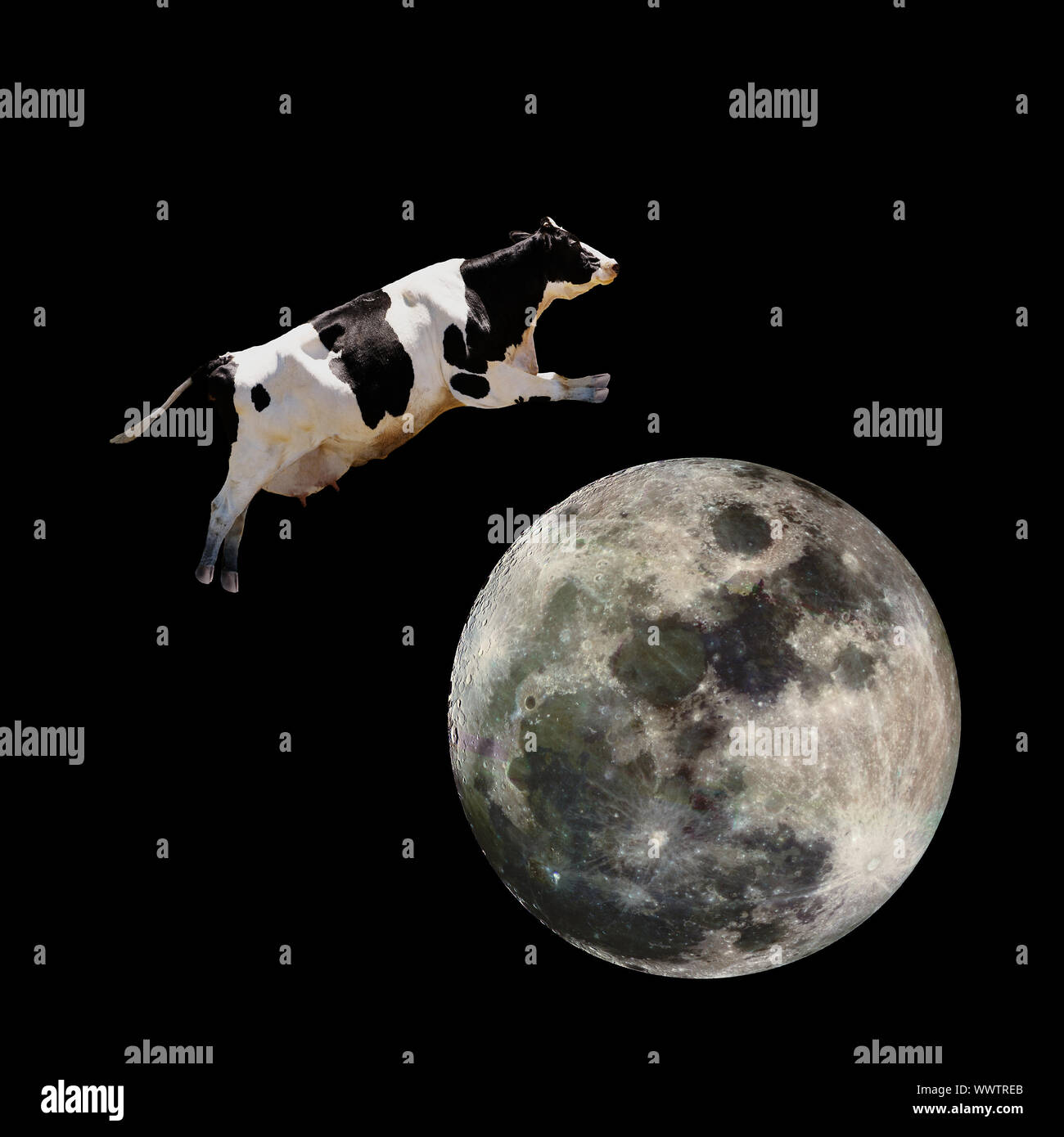 Cow Moon
