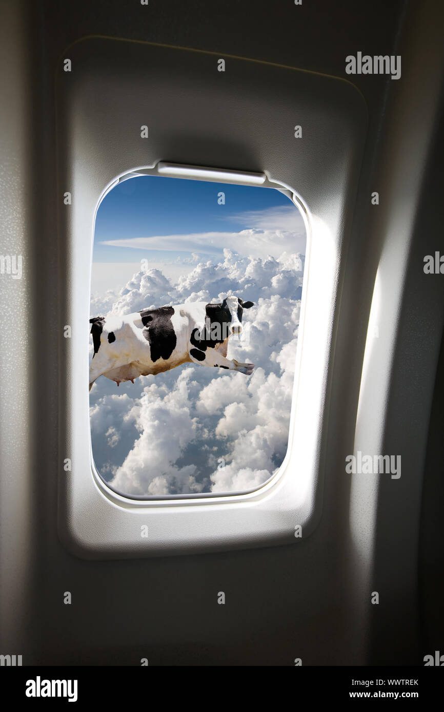 Flying Cow