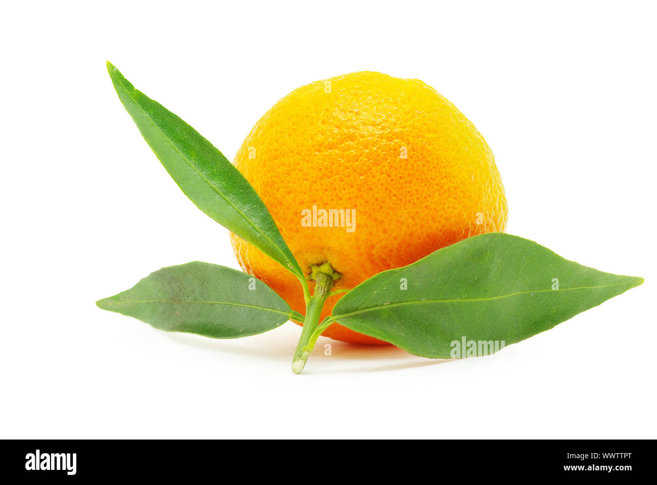 fresh mandarin isolated on white Stock Photo - Alamy