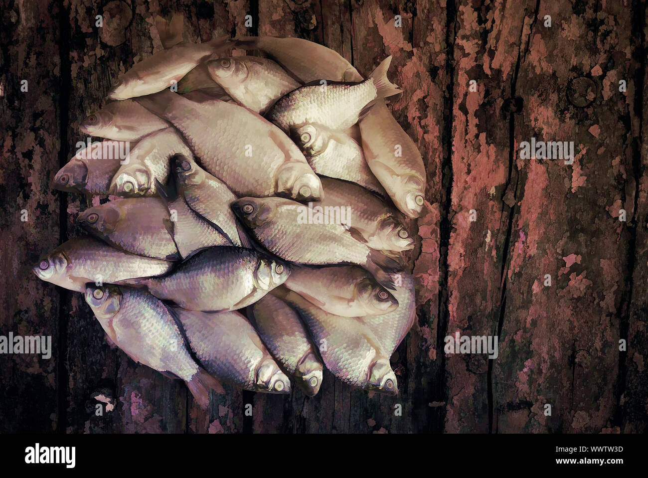 Underwater river small fish hi-res stock photography and images - Alamy