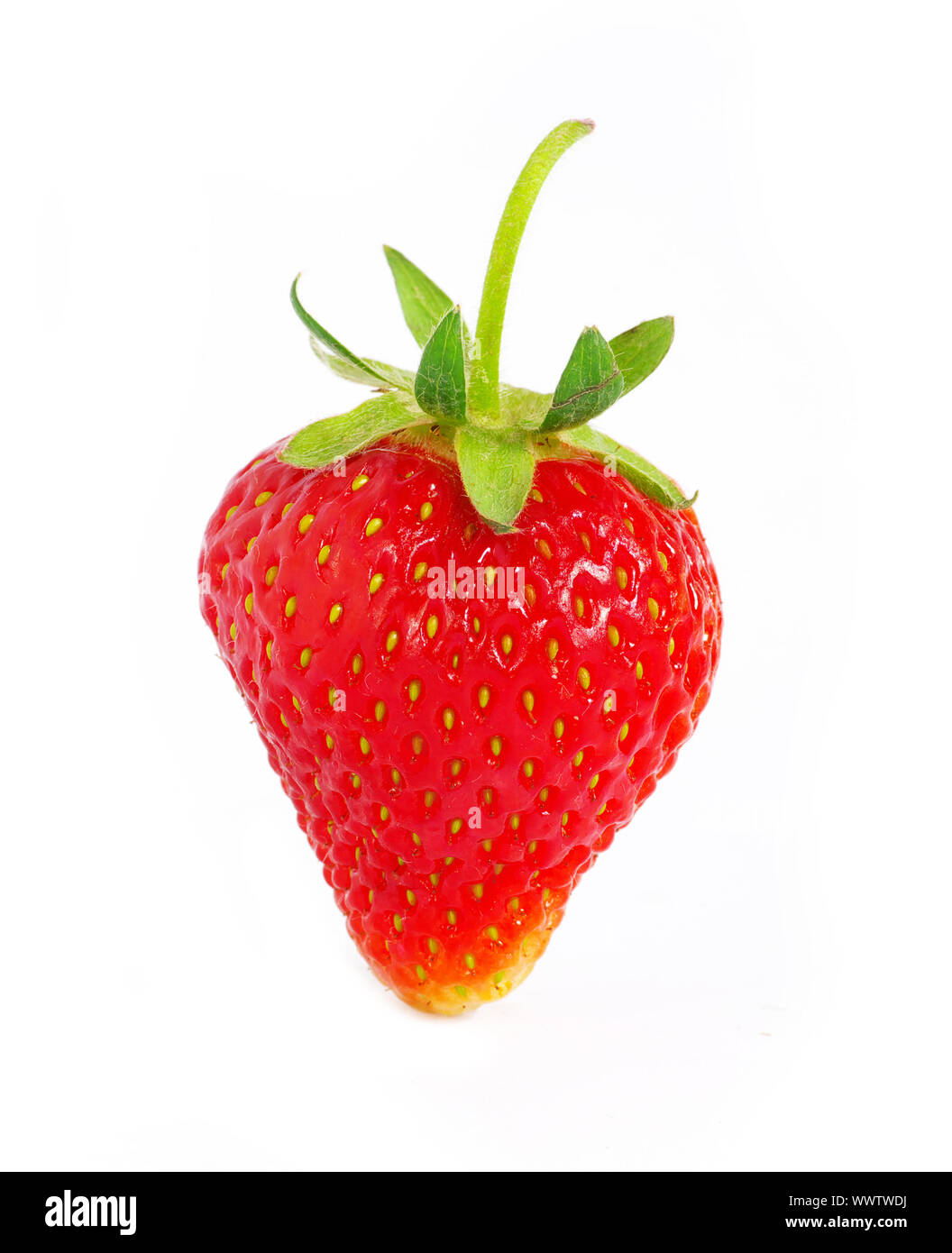 The strawberry isolated over white Stock Photo - Alamy