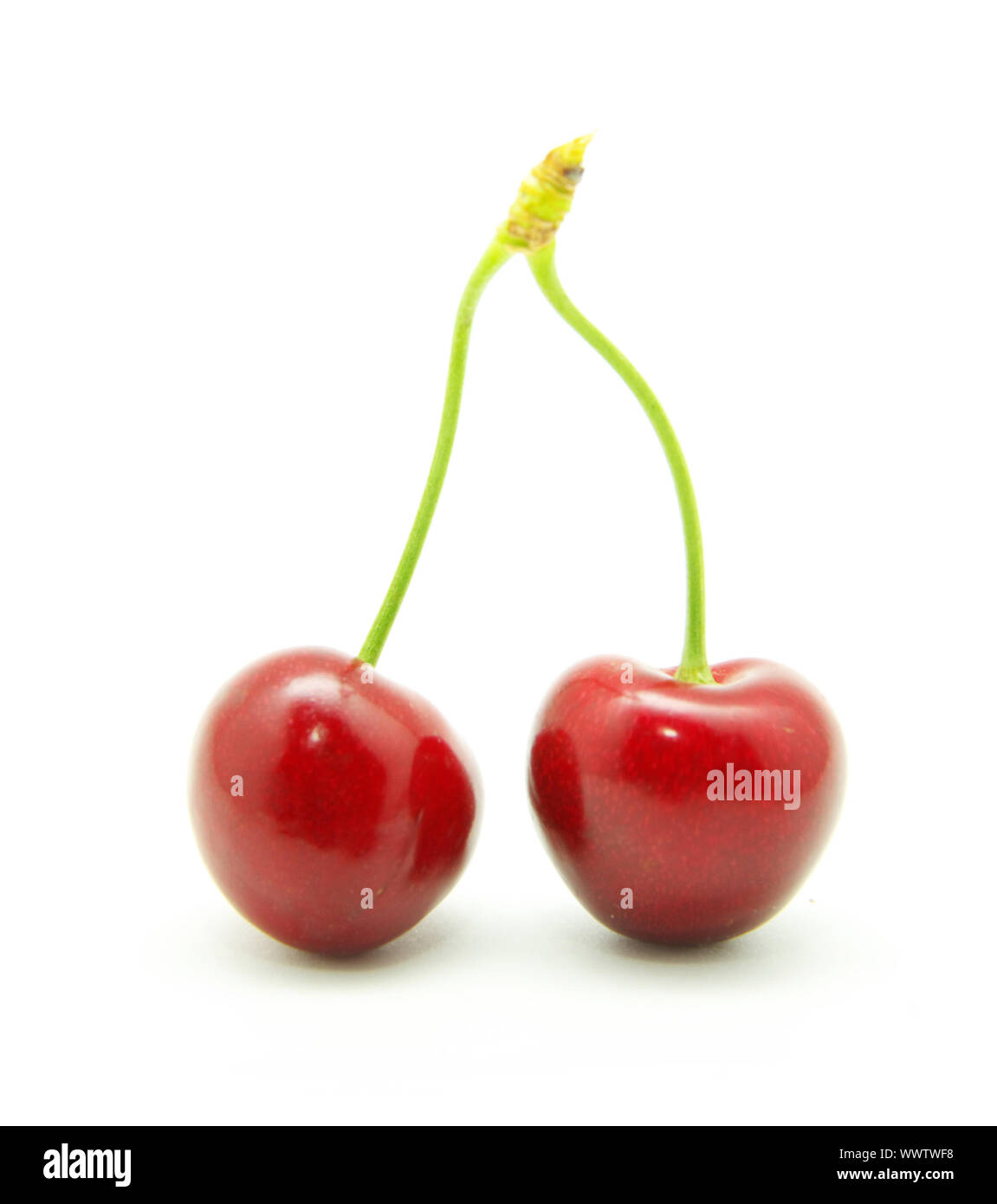 Two cherries against white background Stock Photo - Alamy