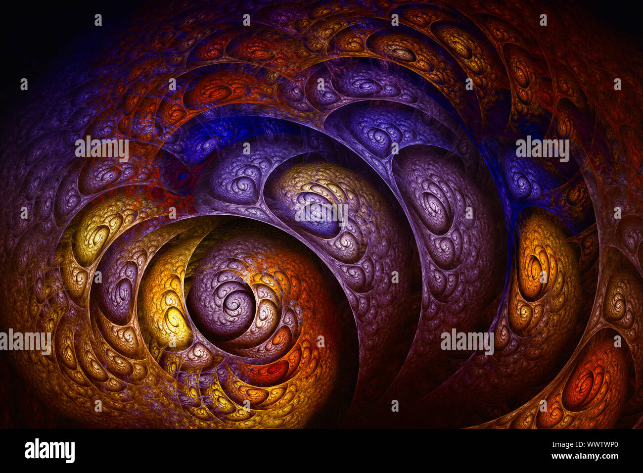 Translucent shells hi-res stock photography and images - Alamy