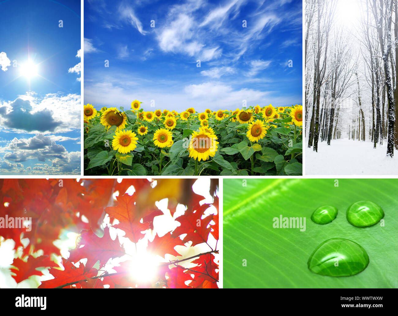 Assembling of beautiful seasonal pictures of nature Stock Photo - Alamy