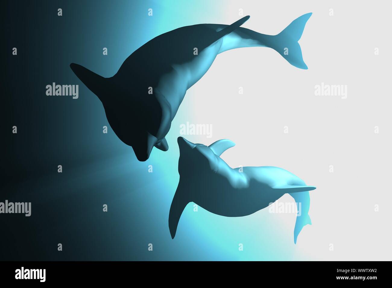3d dolphins in blue light love concept Stock Photo - Alamy